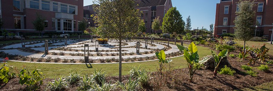 Photo Galleries - Page 5 of 10 - Florida State University News