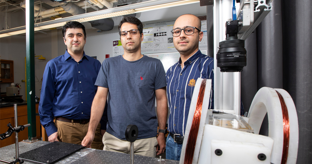 Researchers use 3D models to investigate bacteria movement - Florida ...