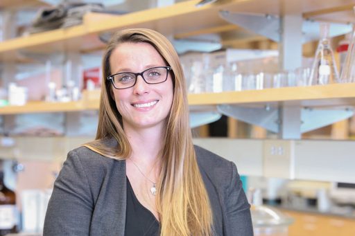 FSU chemist earns prestigious Camille Dreyfus Teacher-Scholar Award for ...