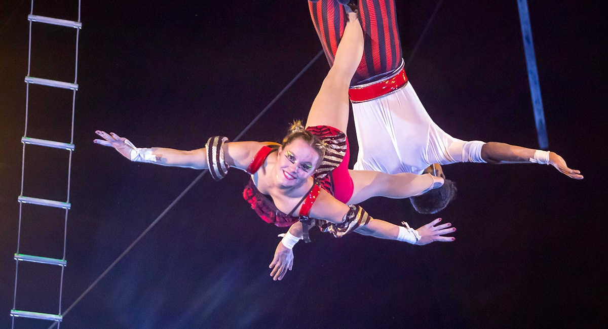 FSU Flying High Circus presents Halloween Show Series - Florida State ...