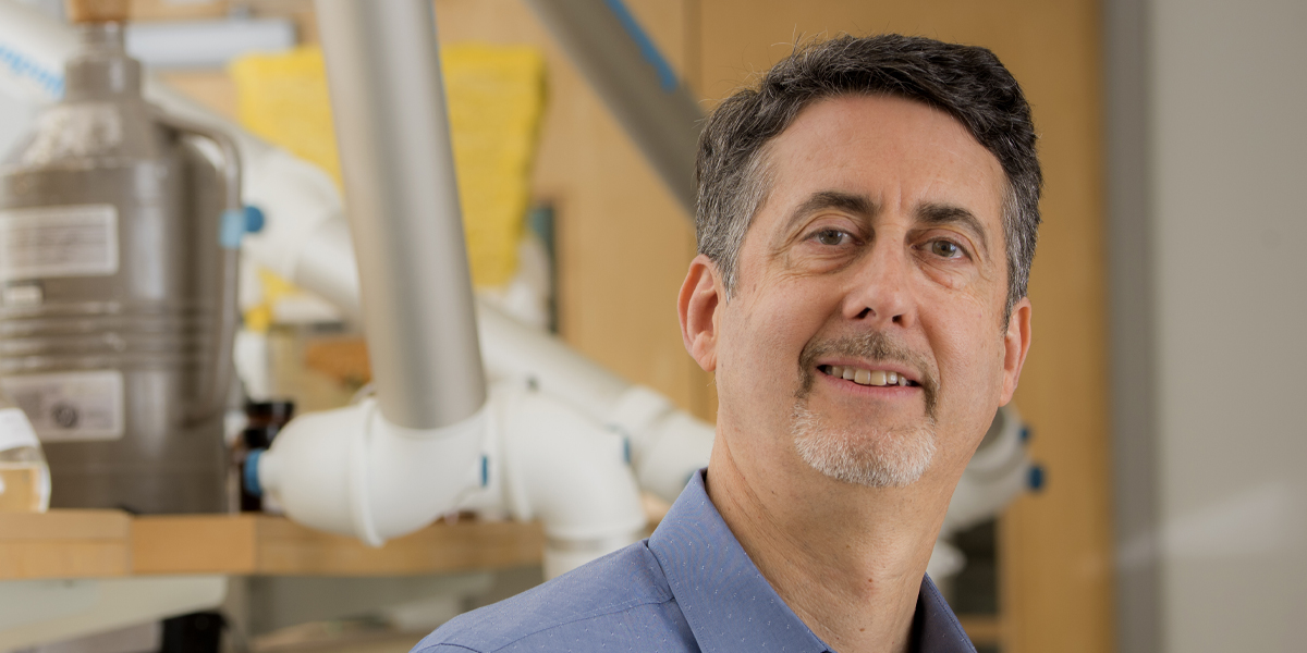 FSU chemist named Fellow of American Chemical Society Division of ...