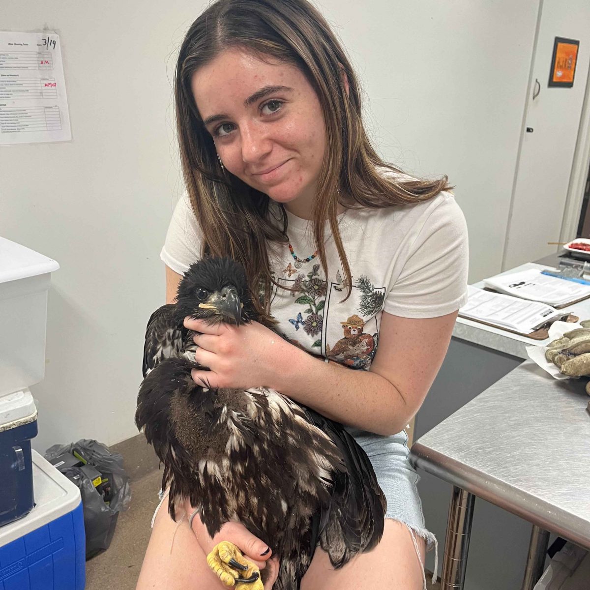 FSUshadow program connects 135 students with employers over spring ...