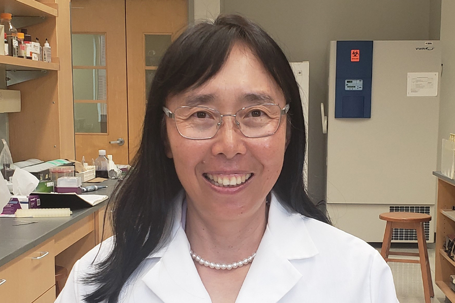 FSU researchers show potential of new treatment for pediatric brain ...