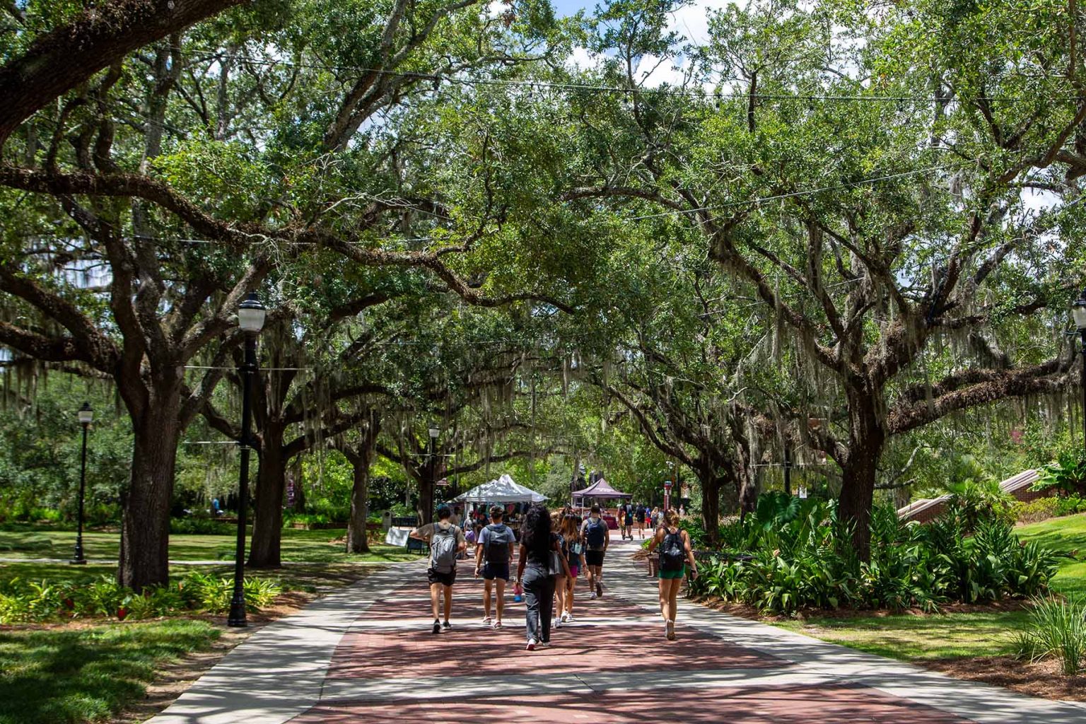 FSU earns high marks for student satisfaction and services in The ...