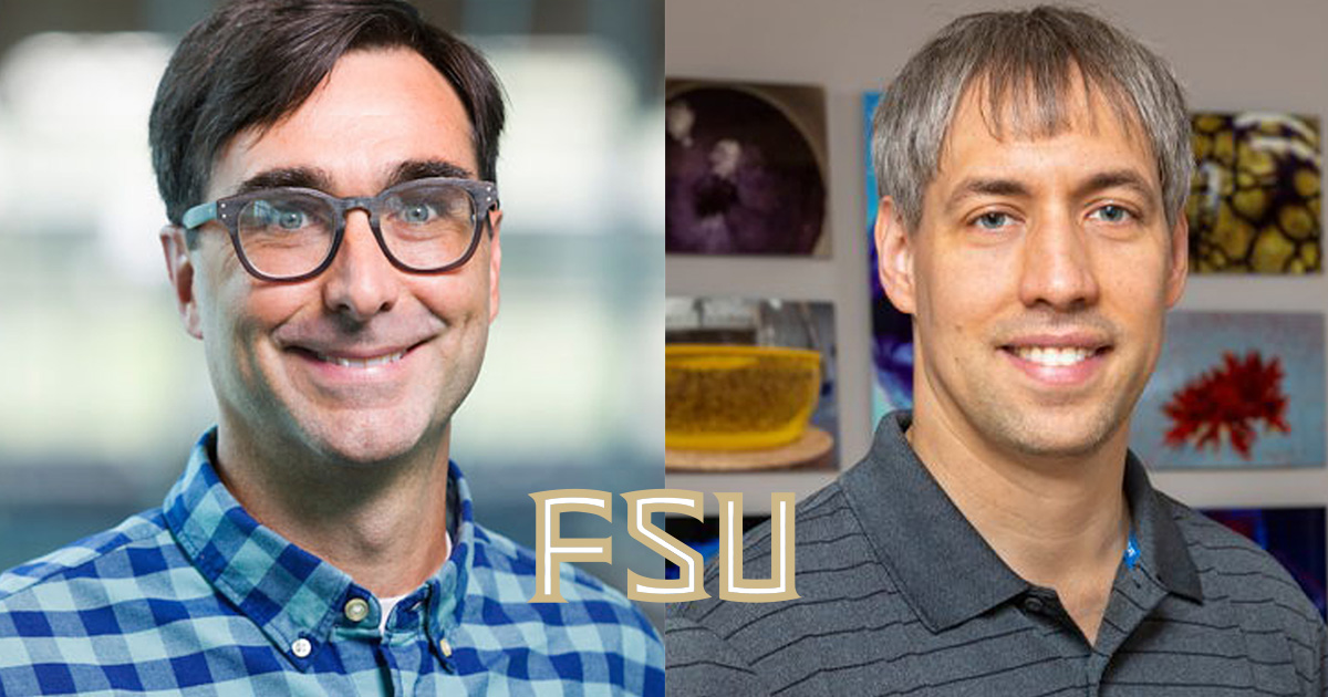 Academy of Science, Engineering and Medicine of Florida names two FSU ...