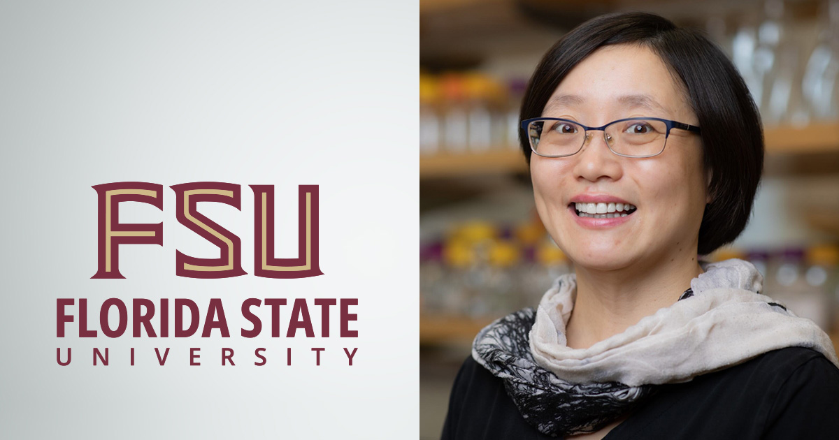 FSU chemist awarded $3.4M grant to investigate protein complexes in bacteria that cause ...