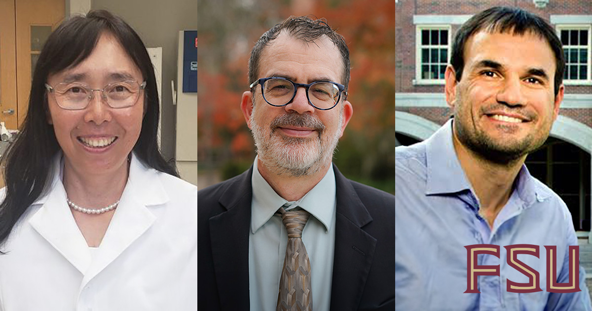 FSU names three faculty as Distinguished Research Professor - Florida ...