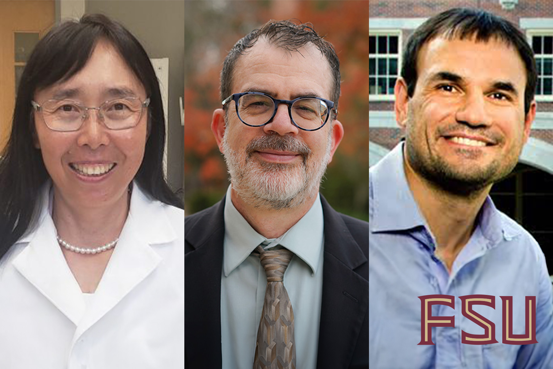 FSU names three faculty as Distinguished Research Professor - Florida ...
