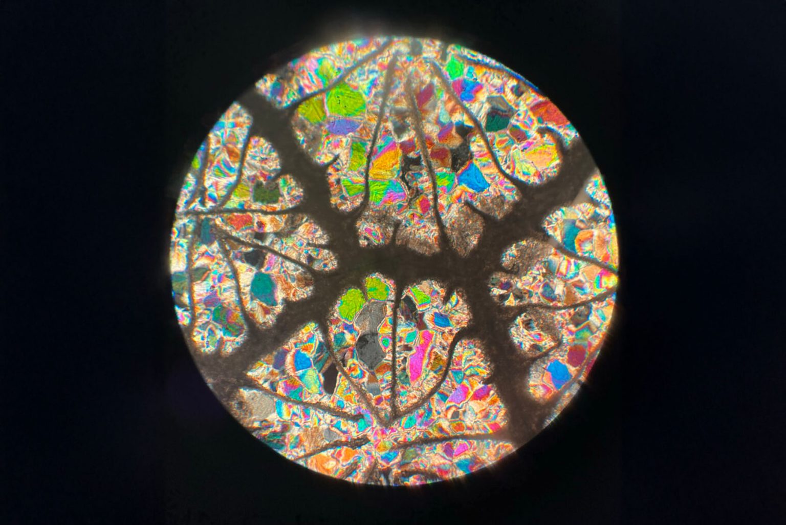 FSU’s Art in STEM exhibition on view now - Florida State University News