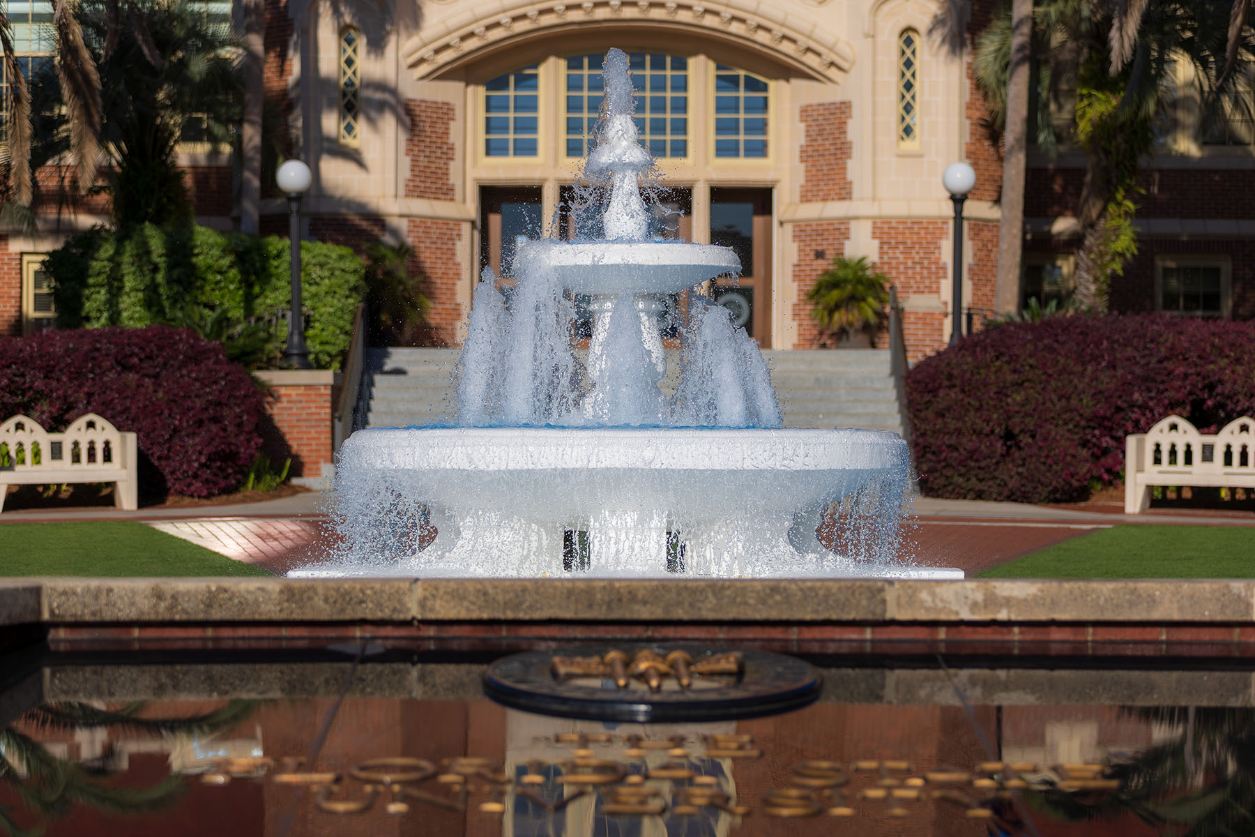 FSU tops The Princeton Review's best value, student satisfaction ...