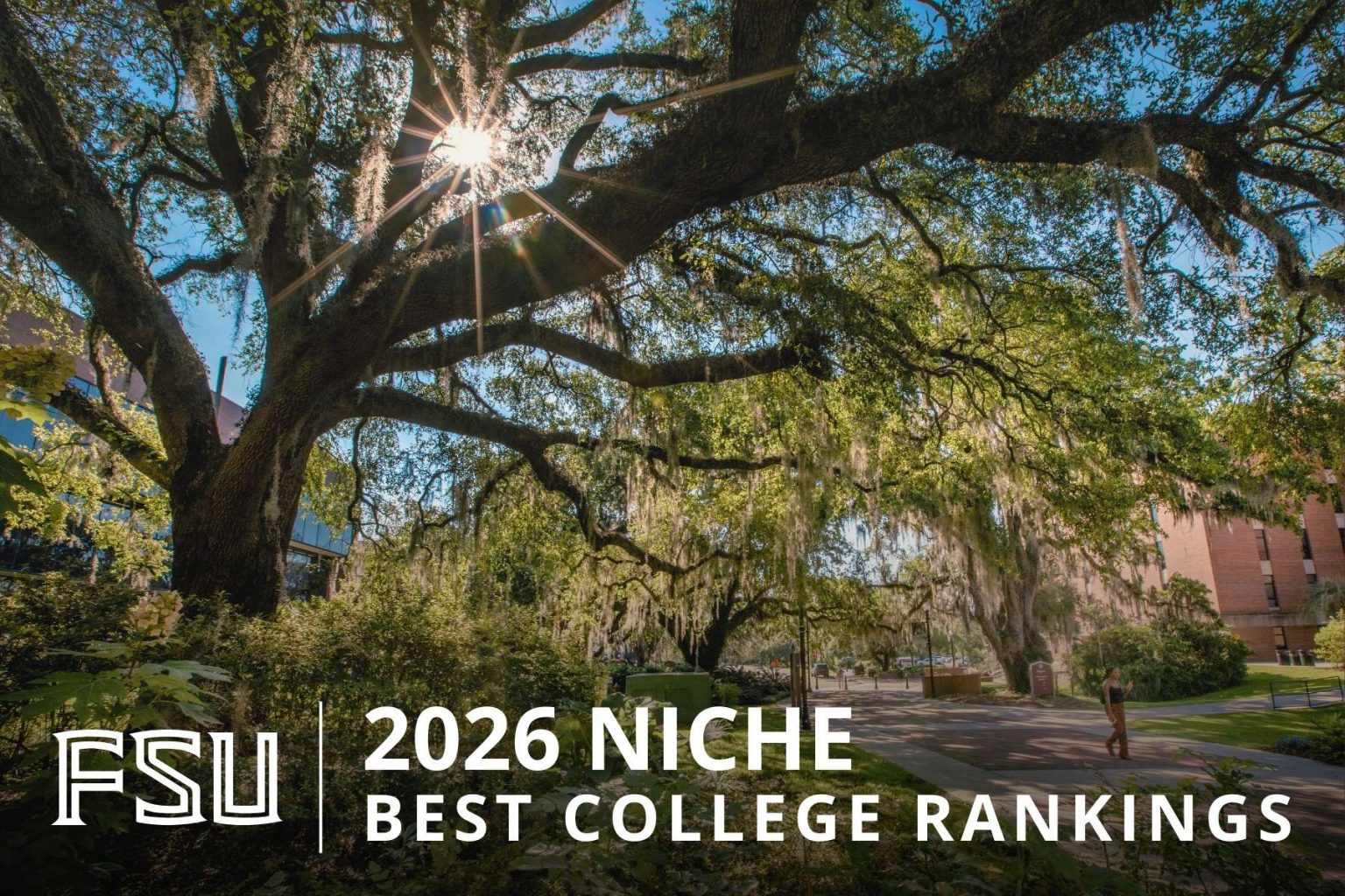 Florida State University continues to shine in Niche’s 2026 Best ...