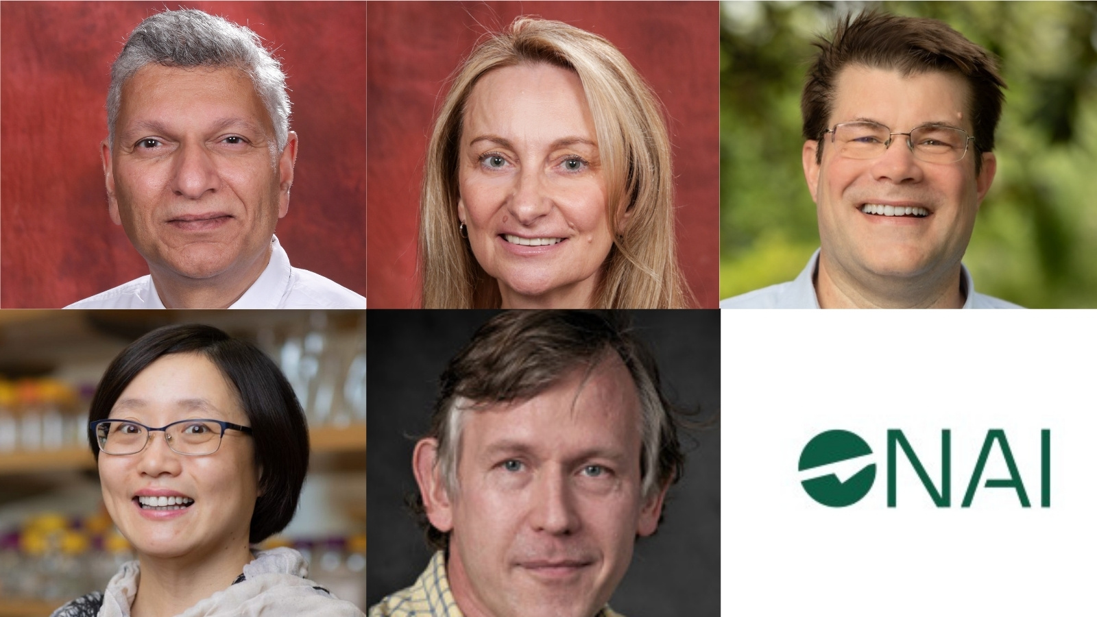 Research to impact: Five FSU professors named National Academy of ...