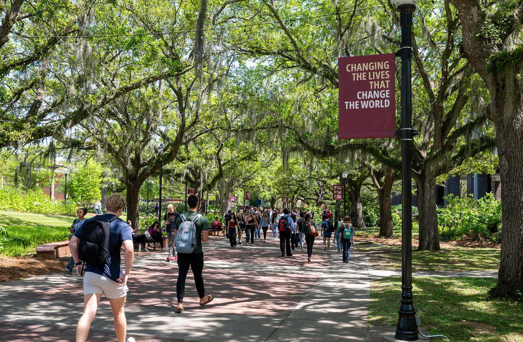 FSU Board of Trustees approves $3.22 billion operating budget - Florida ...